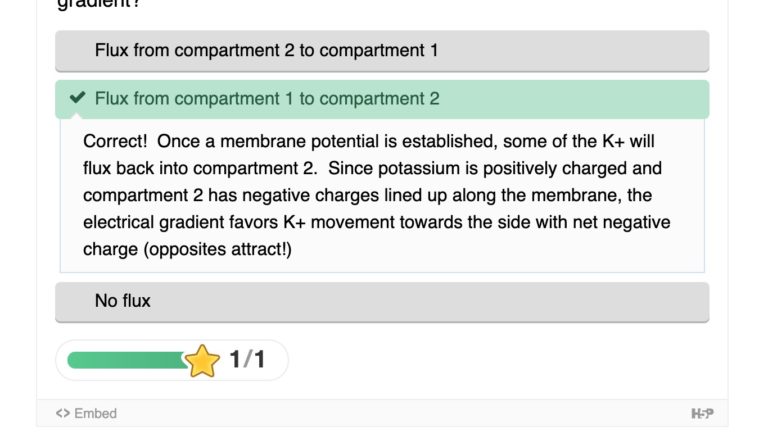 Going Beyond Correct/Incorrect with Feedback – The H5P Kitchen