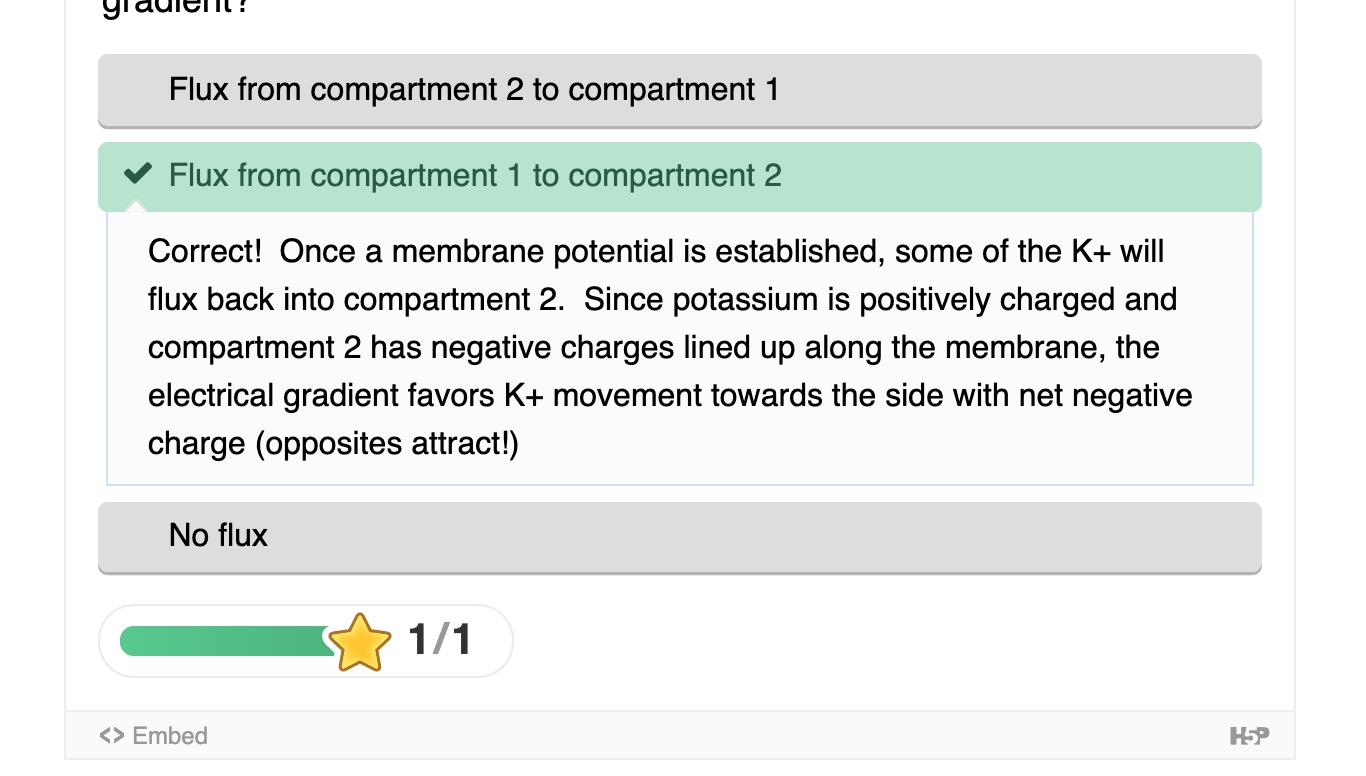 Going Beyond Correct/Incorrect with Feedback – The H5P Kitchen