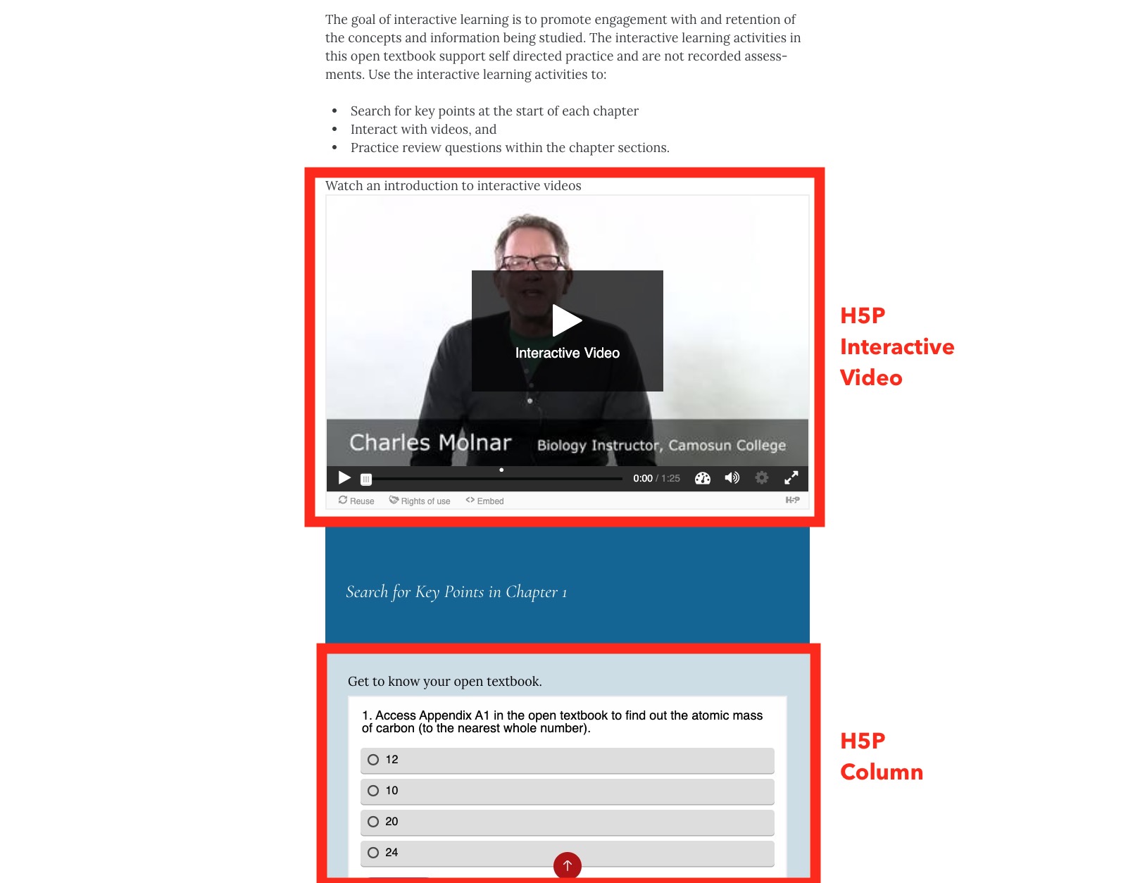 Pressbooks Wish: Better Replacement for H5P in Print PDF – The H5P Kitchen