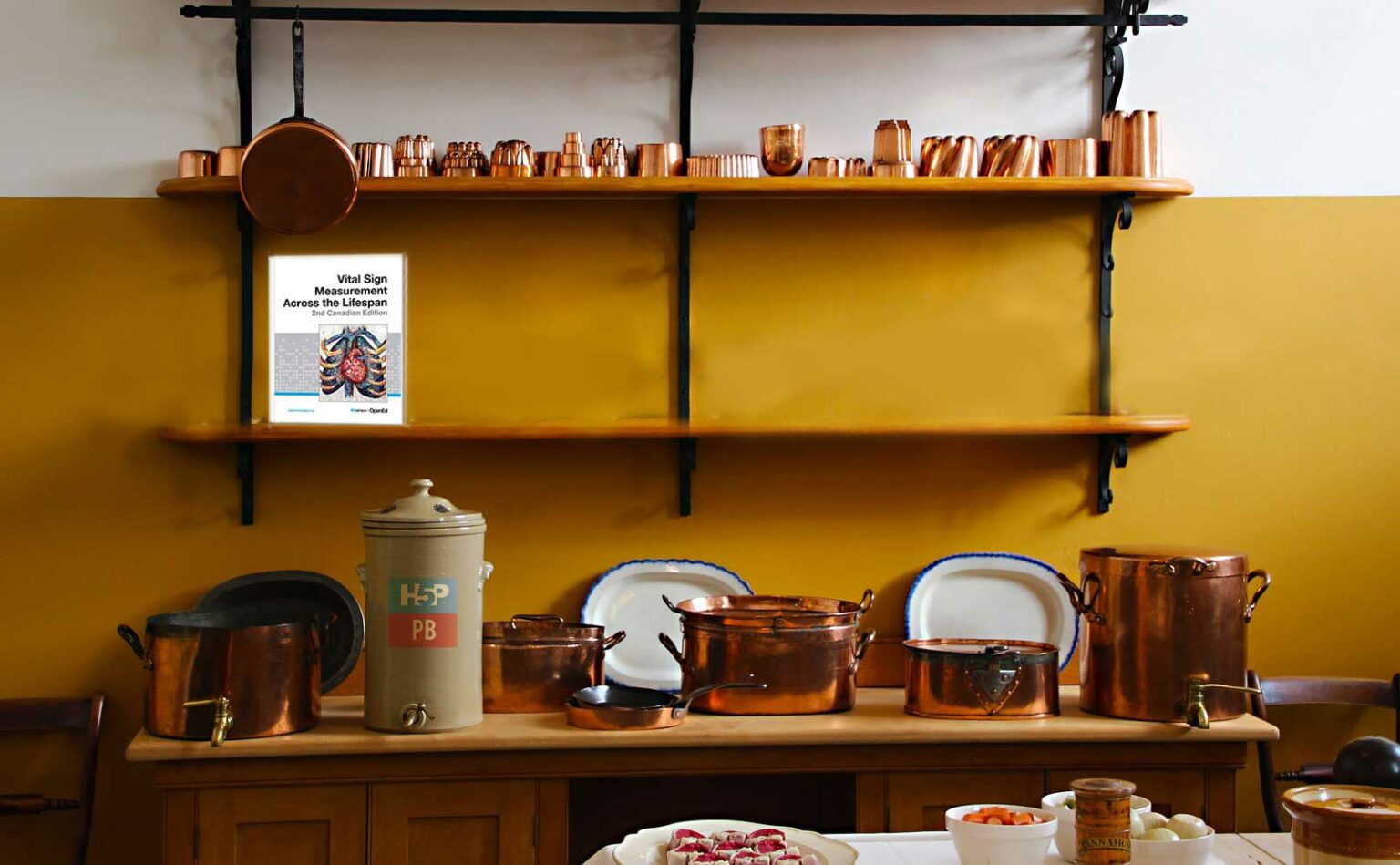 First on the Shelf: Vital Sign Measurement Across the Lifespan – The ...