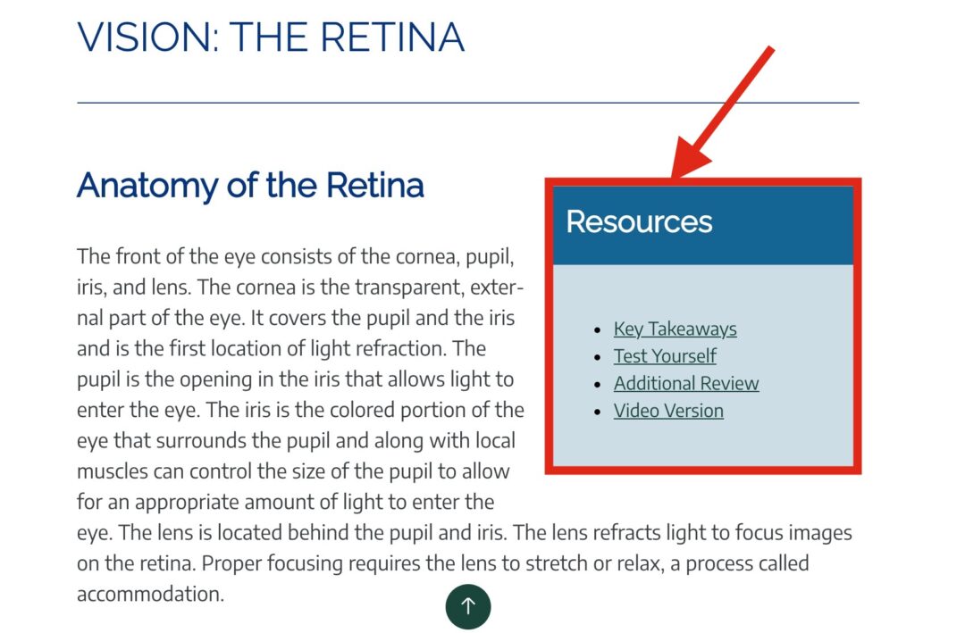 More Snacking on H5P – The H5P Kitchen